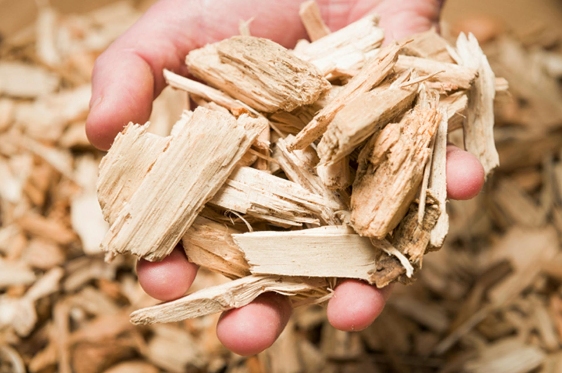 New process converts biomass into liquid fuel without chemical ...