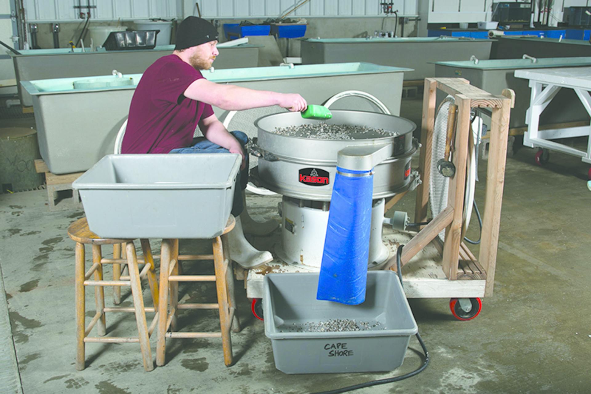 Aquaculture center switches to vibratory screening of oysters ...