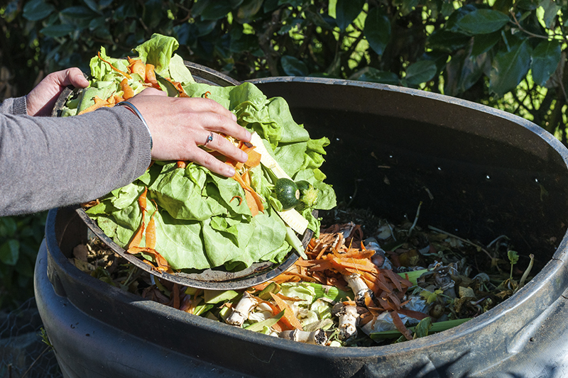 Food waste avoids landfills through EPA programs | Processing Magazine