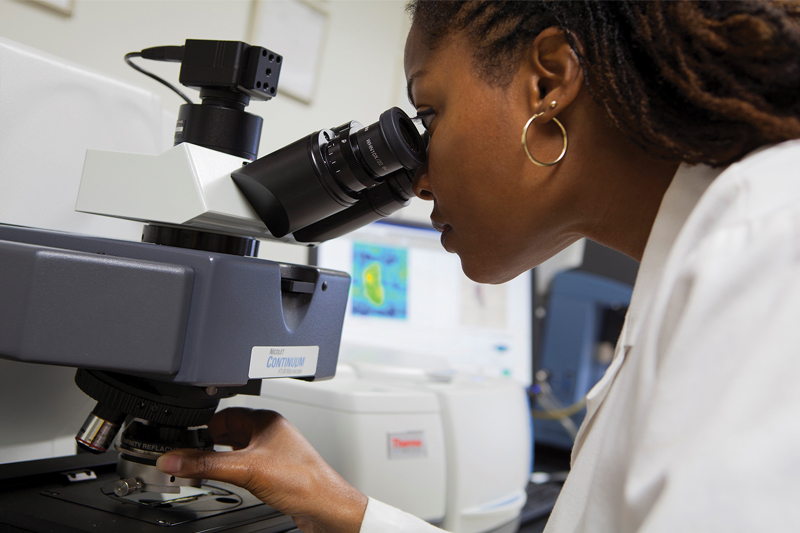 Material considerations for chemical sealing applications | Processing ...