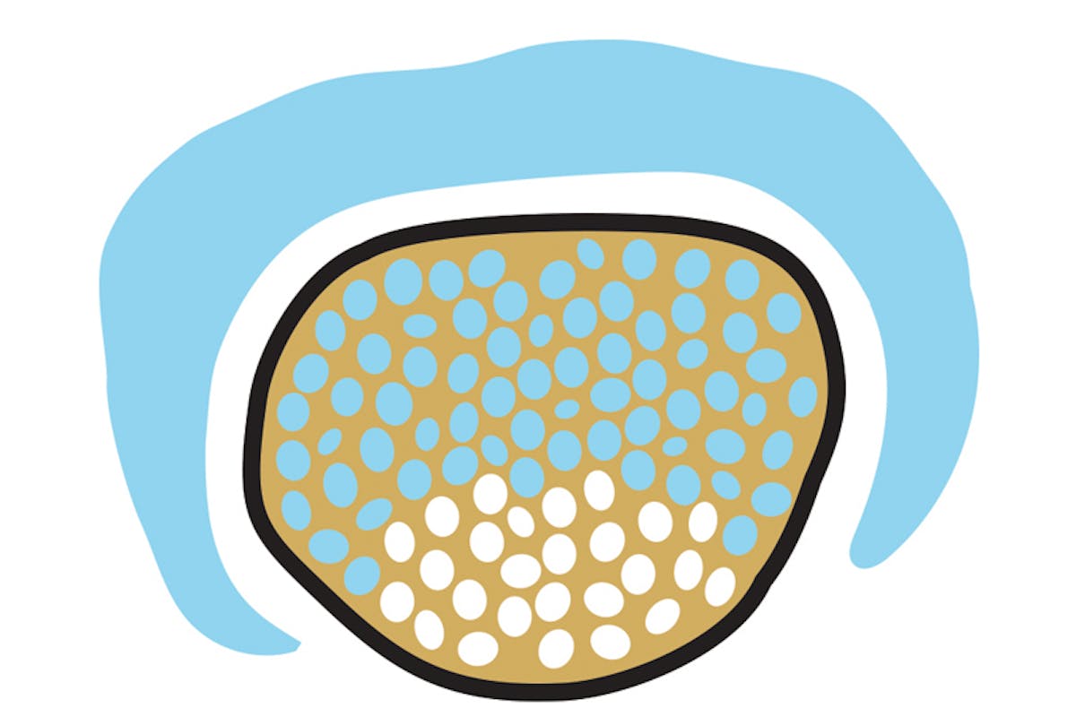 Agglomeration technique improves heap leaching process | Processing Magazine