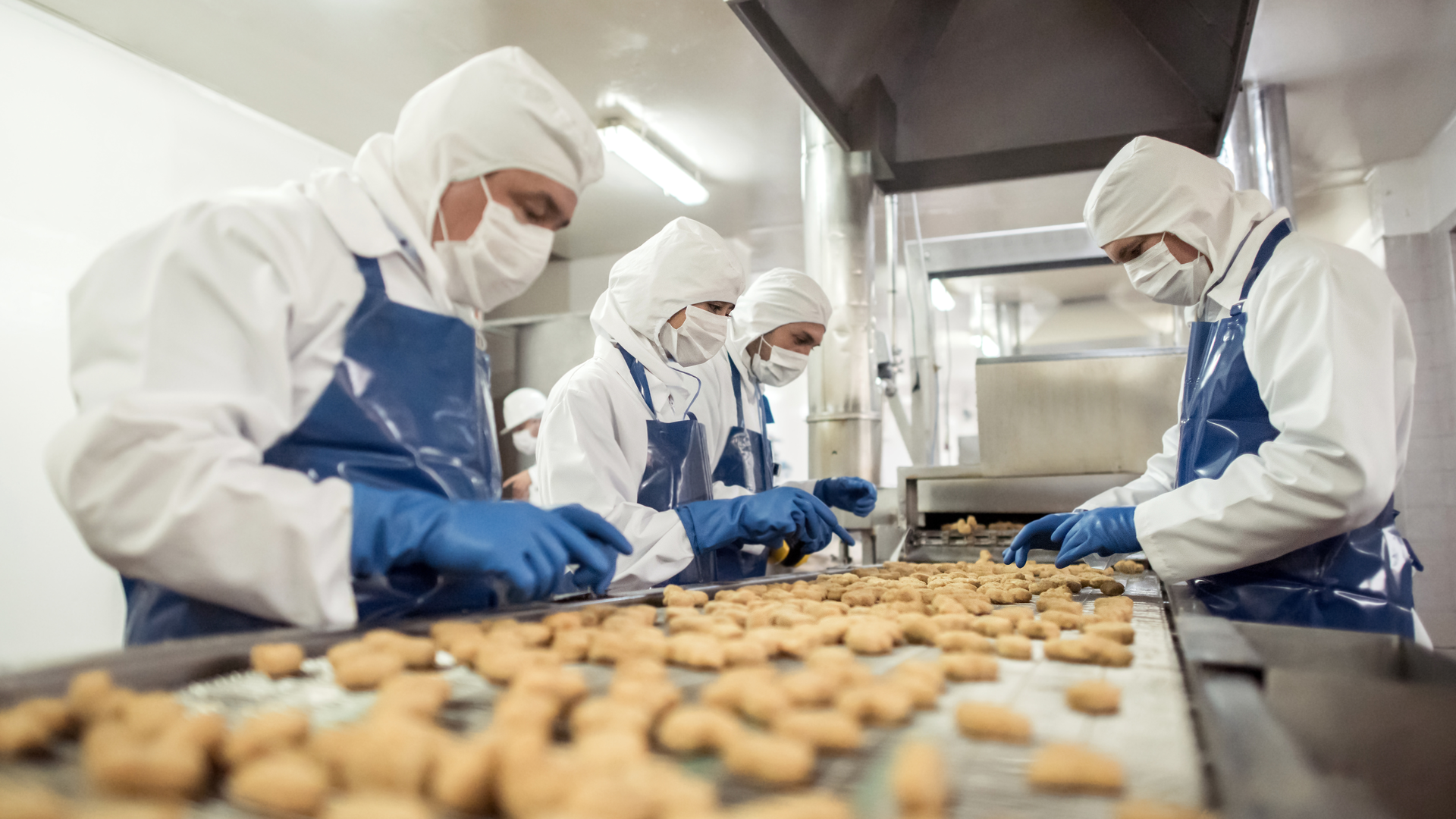 Q&A: The biggest foreign materials problem in food processing ...