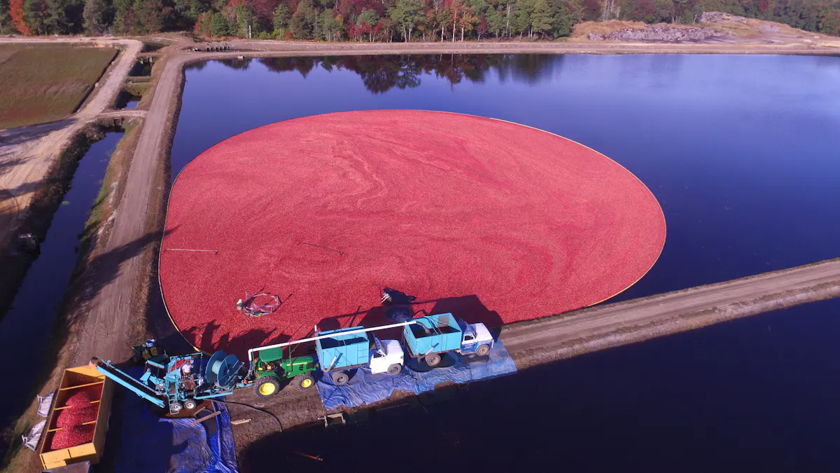Case Study: A cranberry farm goes high-tech with monitoring software ...