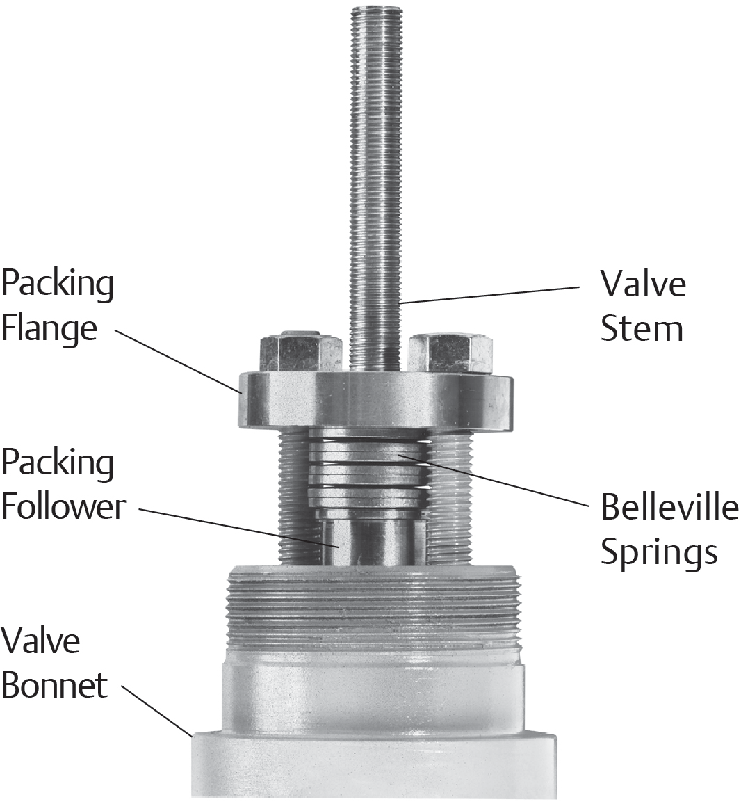 Simplifying control valve packing selection | Processing Magazine