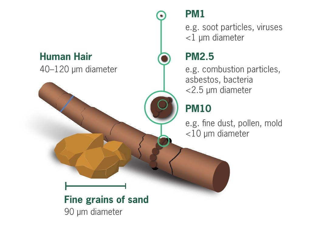 Can it happen here? Dust hazards at food processing facilities ...