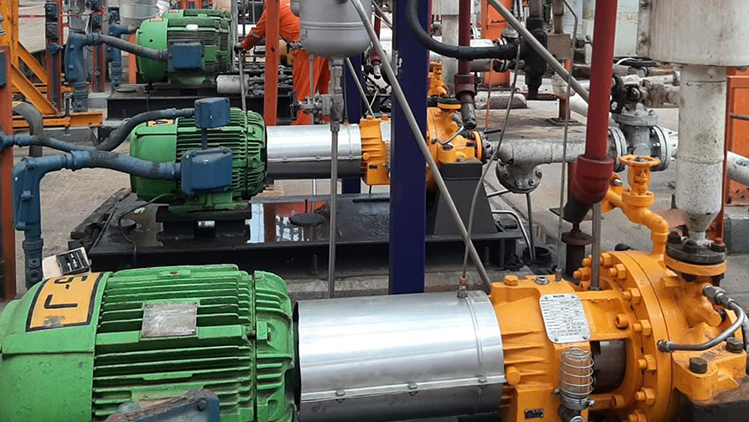 Case Study: Extending the service life of 35 process pumps | Processing ...