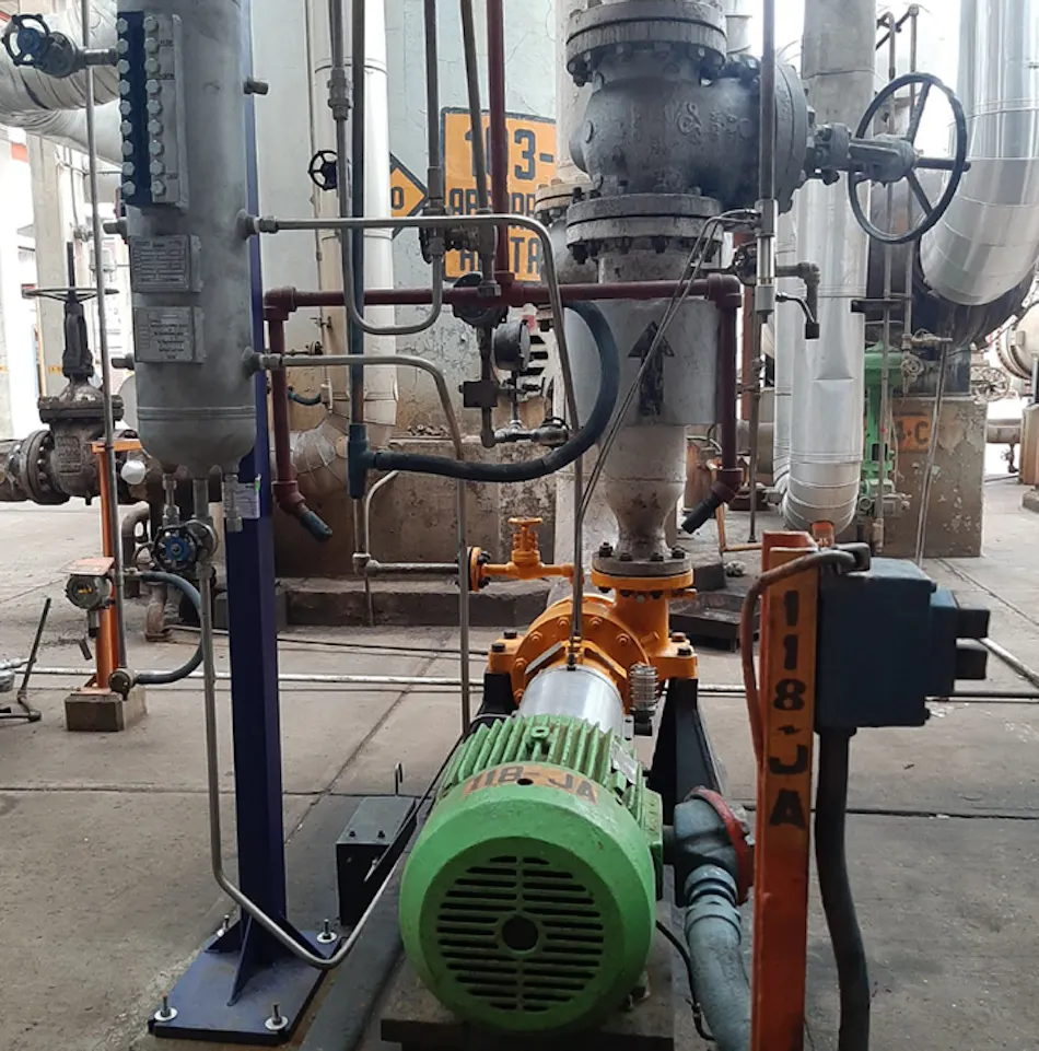 Case Study: Extending the service life of 35 process pumps | Processing ...
