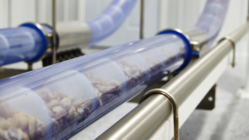 Protect against recalls with the right conveyor system | Processing ...