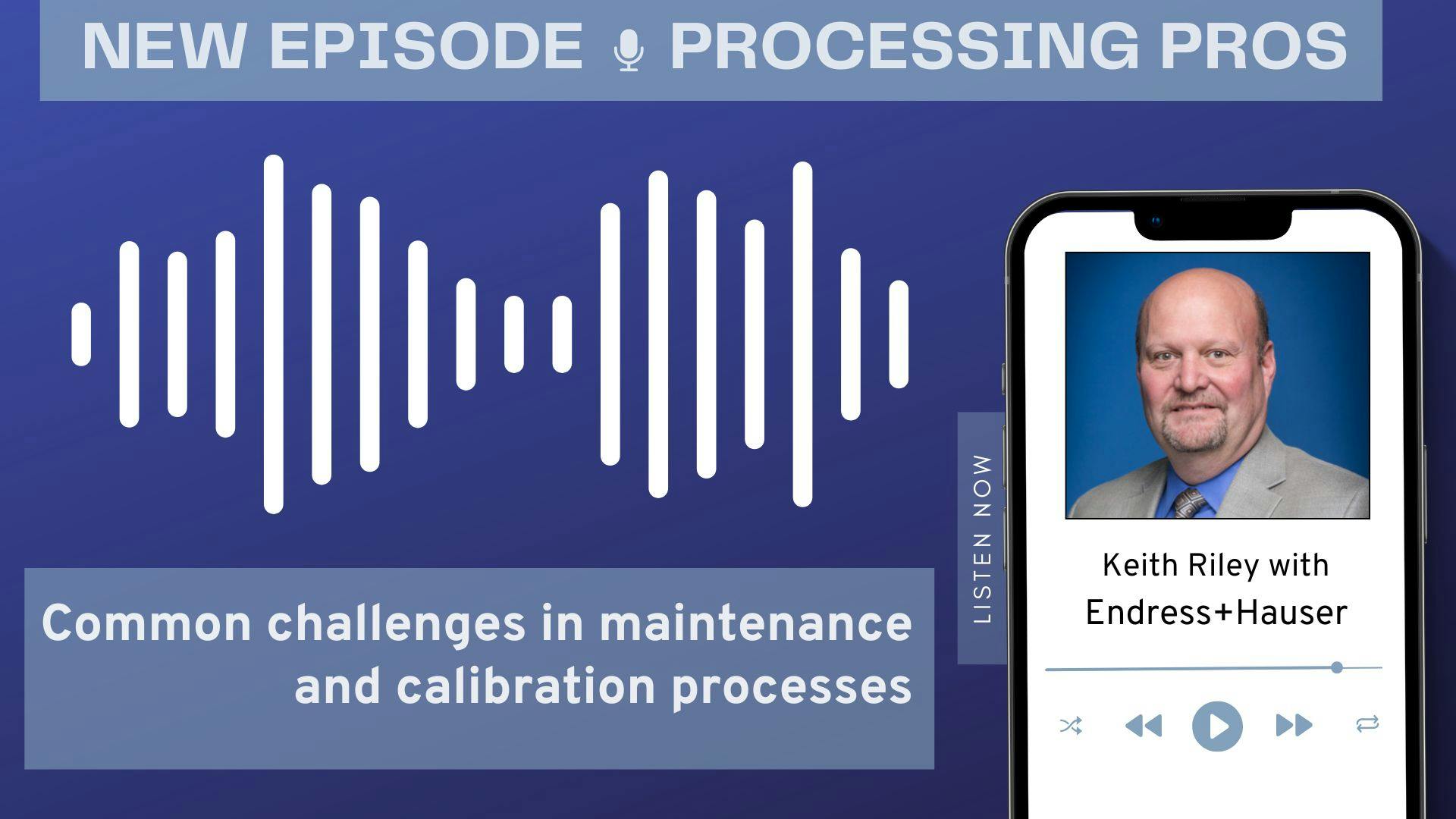 Discussing common challenges with maintenance and calibration processes with Endress+Hauser's ...